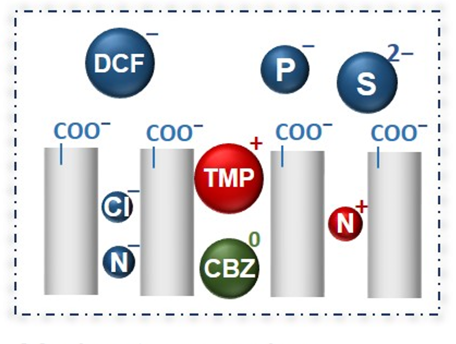 Novel Nanofiltration (NF) Membrane Optimizing Concurrent Nutrient ... Novel Nanofiltration (NF) Membrane Optimizing Concurrent Nutrient ...